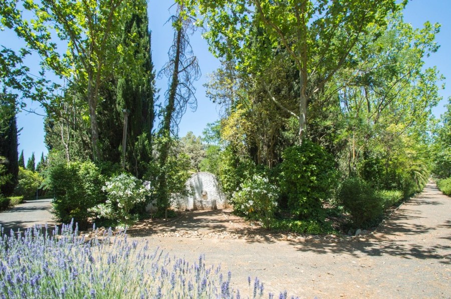 Ref: MCP205 Finca Betania Farms-Fincas For sale in Archidona