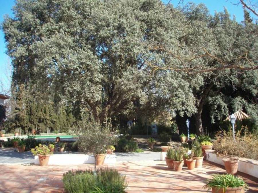 Ref: MCP205 Finca Betania Farms-Fincas For sale in Archidona